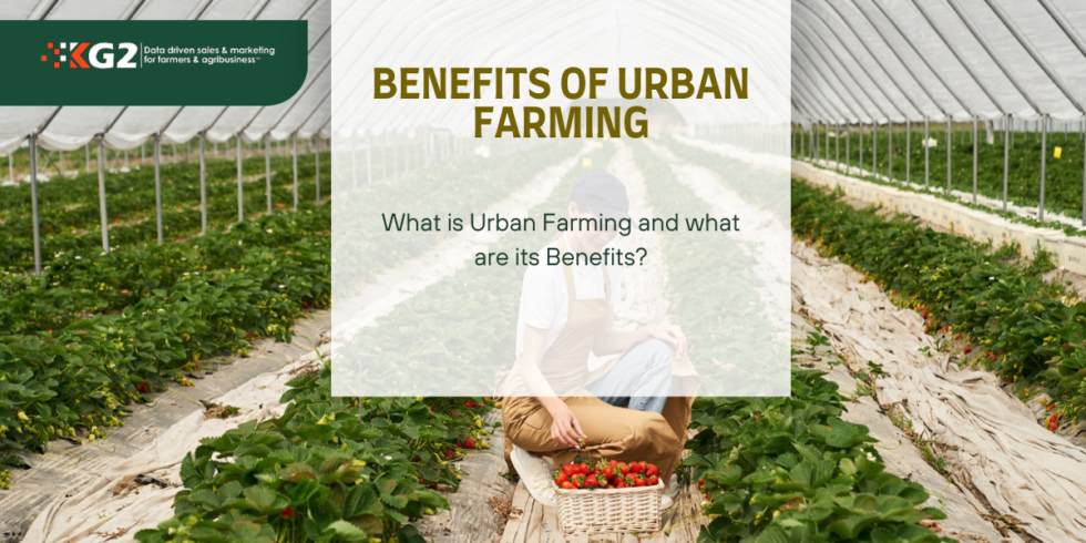 What is Urban Farming and what are its Benefits?